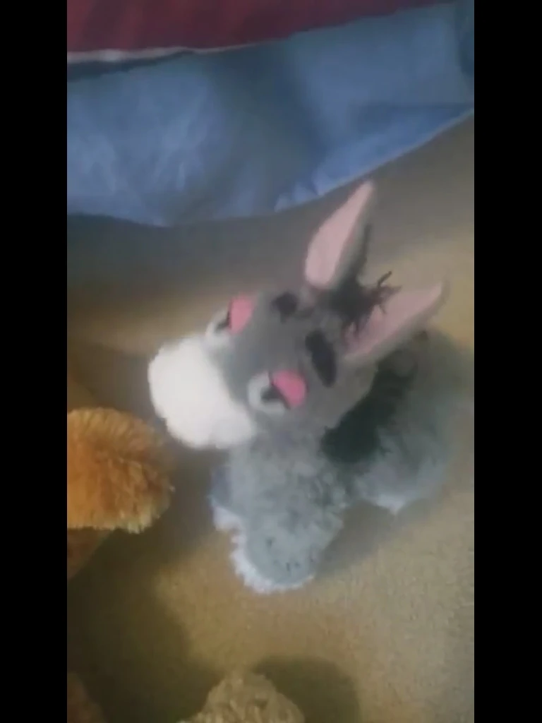 The Stringed Donkey | Joe, The Puppet Wiki | Fandom