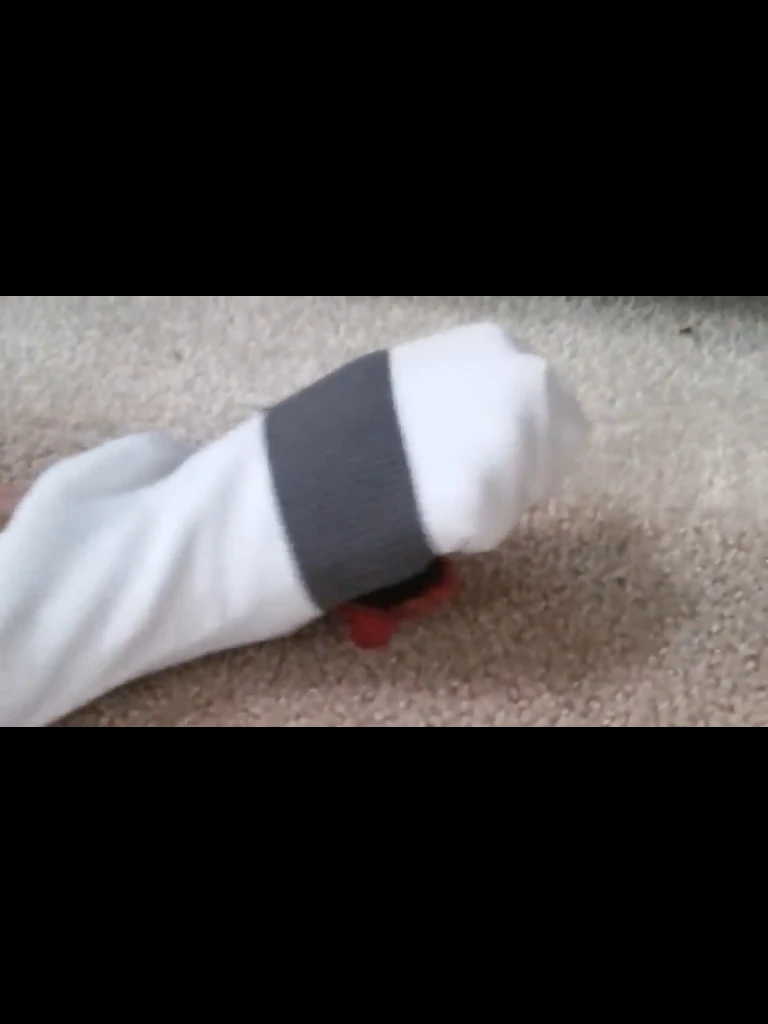 Bob | Joe, The Puppet Wiki | Fandom