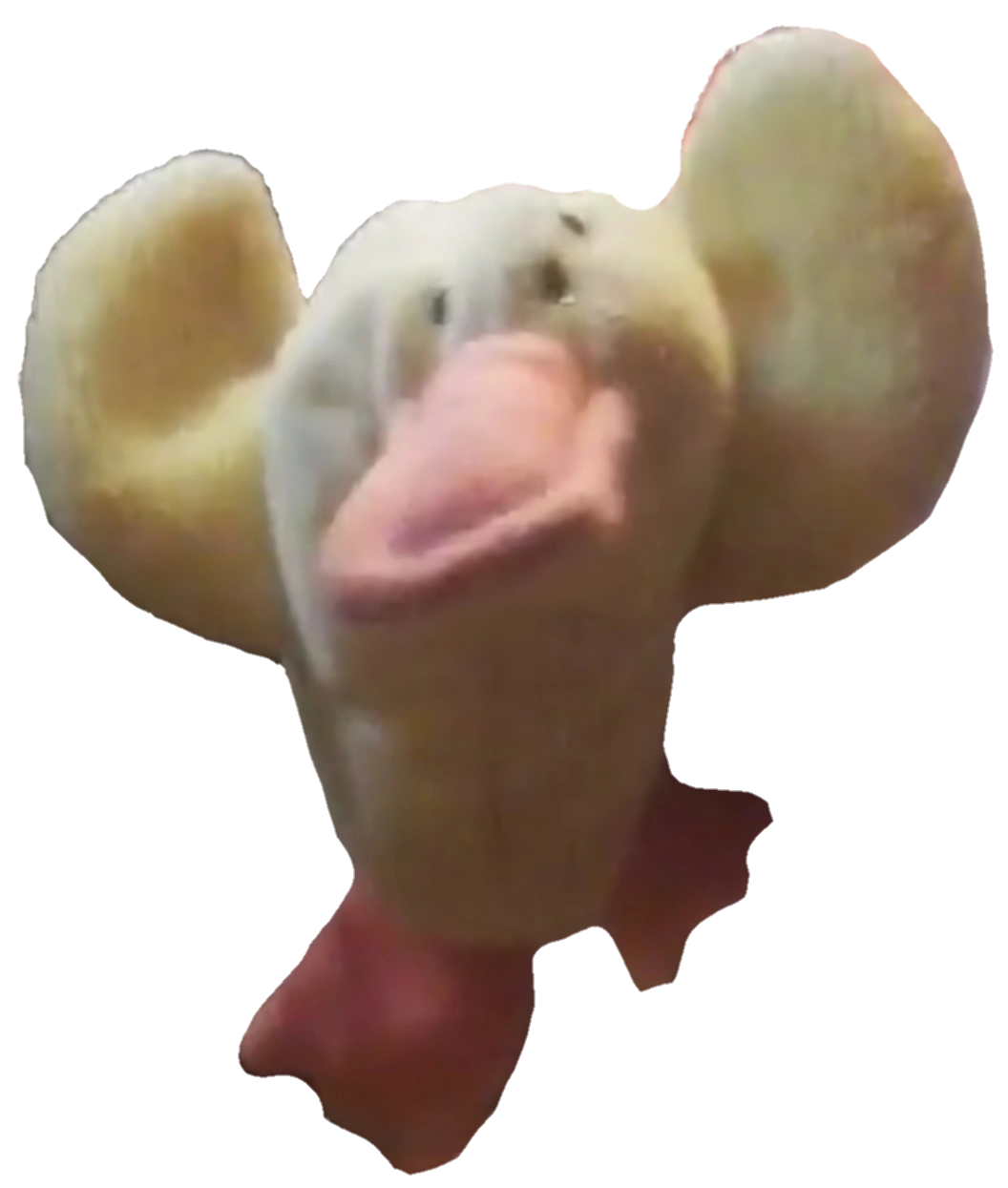 Lucas May | Joey Network Wiki | Fandom