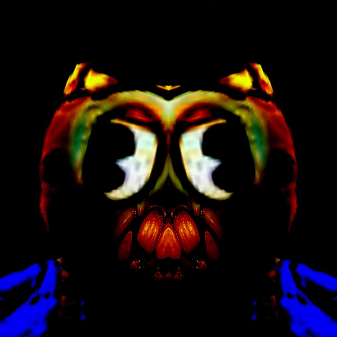 Mel Oficial Trauma (RageSquad) | Joey Slikk Alt Wiki | Fandom