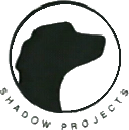 Shadow Projects.EXE Looks (Fletchosh's Version) | Joey Slikk Alt Wiki ...