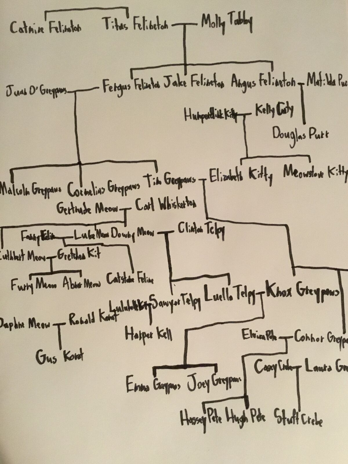 Greypaws Family | Joey Greypaws Wiki | Fandom Greypaws Family | Joey Greypaws Wiki | Fandom