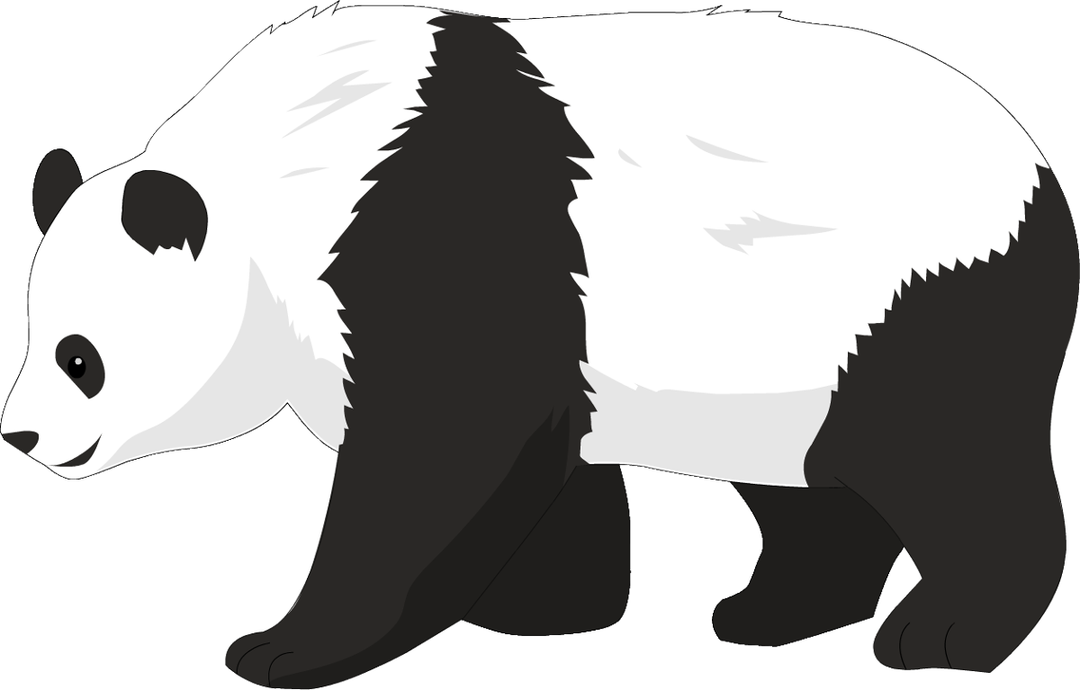 Panda Bear | Joey's School of Education Wiki | Fandom