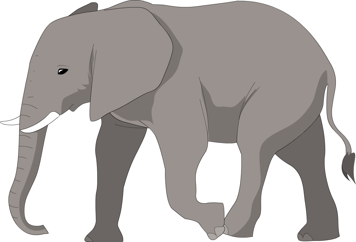 Elephant | Joey's School of Education Wiki | Fandom
