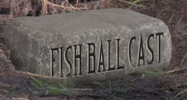 Fish Ball Cast 🐟⚽🎙️ | JogandoFoddaci Wiki | Fandom