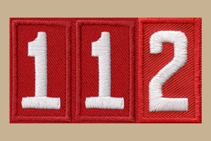 Troop 112 | John Bellairs Wiki | Fandom