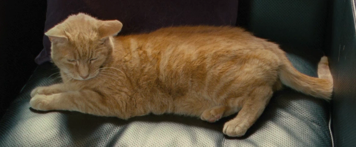 Philby | Johnny English Wiki | Fandom