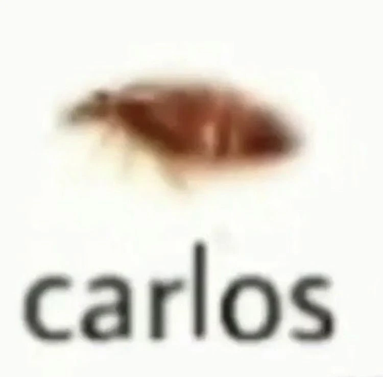 Carlos | Joj Col Wiki | Fandom