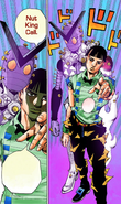 Nut King Call | JoJopedia | Fandom