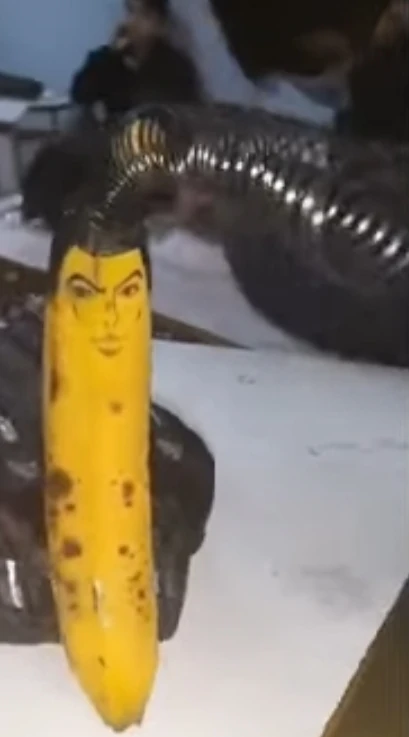 Banana Josuke | JoJo's Bizarre Fanon Wiki | Fandom