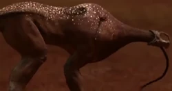 Alien Planet Gyrosprinter