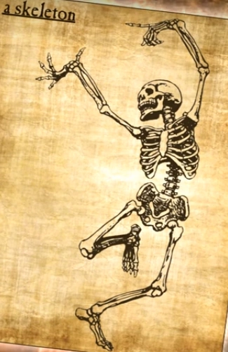 Skellicciephanitetrawongamegidolaoaskidton | Joke Battles Wikia | Fandom