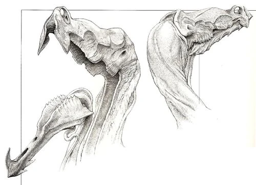 Daggerwrist | Joke Battles Wikia | Fandom