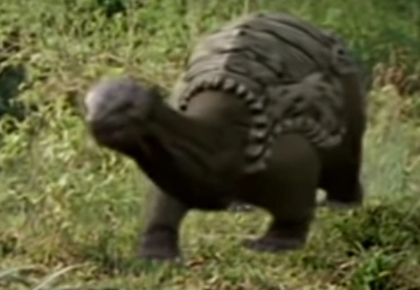 Toraton | Joke Battles Wikia | Fandom