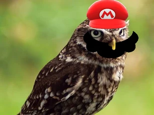 Mariowl | Joke Battles Wikia | Fandom