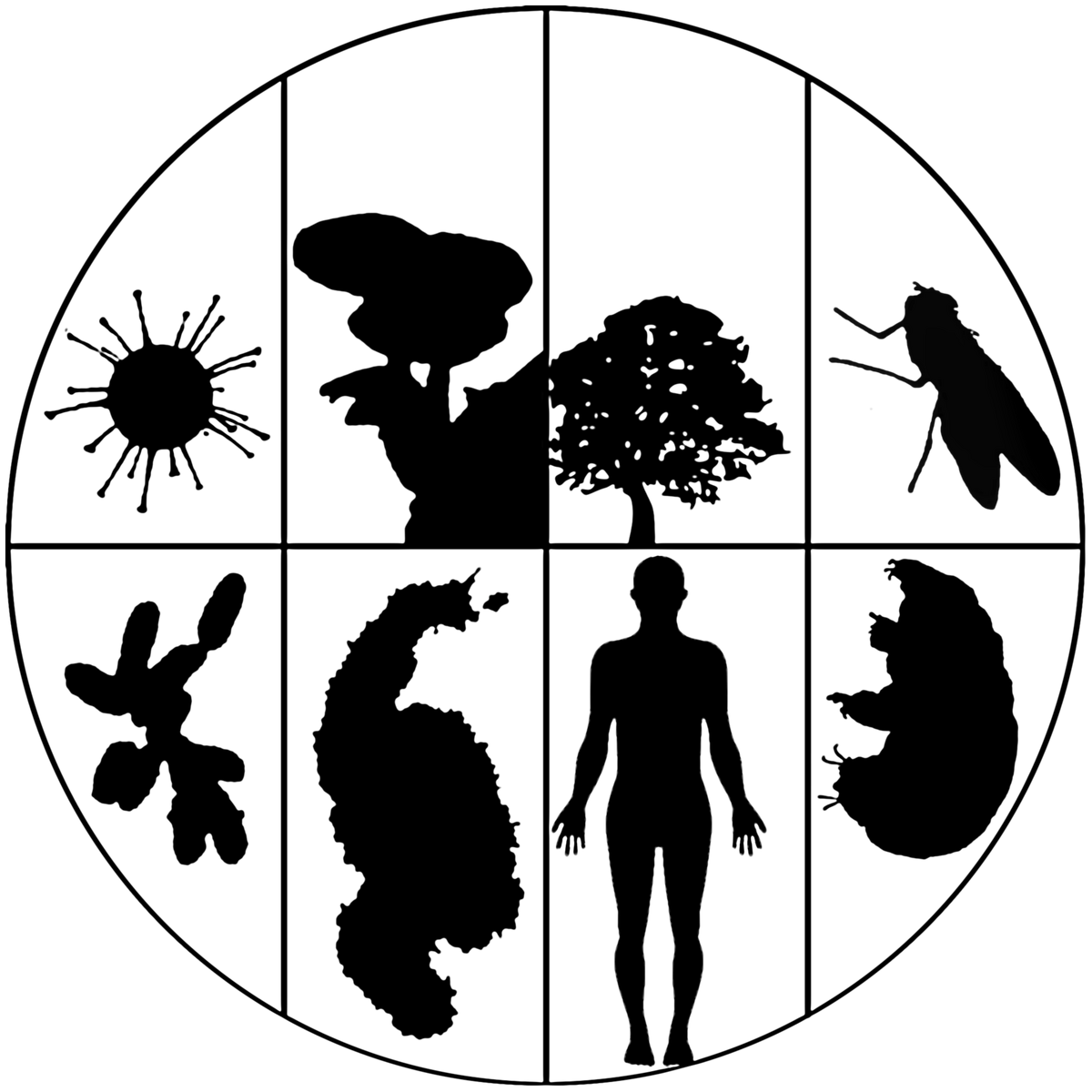 Composite Organism (Community made) | Joke Battles Wikia | Fandom Composite Organism (Community made) | Joke Battles Wikia | Fandom