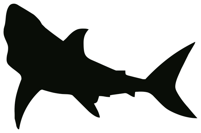 Composite Shark (Community made) | Joke Battles Wikia | Fandom Composite Shark (Community made) | Joke Battles Wikia | Fandom