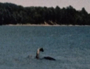 Champ (Myth) | Joke Battles Wikia | Fandom