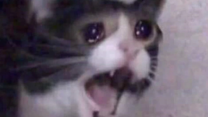 Pirate Battle Royale : r/EliteDangerous