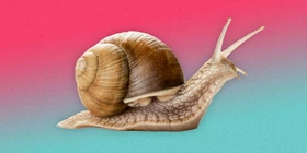 The Immortal Snail | Joke Battles Wikia | Fandom