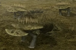 Groveback | Joke Battles Wikia | Fandom