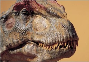 Big Al (Allosaurus) | Joke Battles Wikia | Fandom