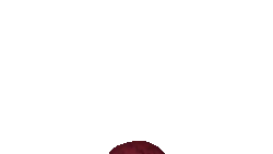 Withered Jolly/History | JOLLY Wiki | Fandom