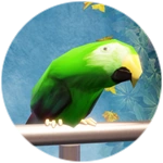 ジョナサンのオウム | Jonathan Wiki | Fandom