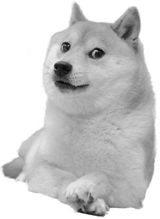 Meme Doge Blanco
