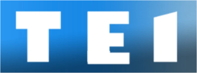 Groupe TE1 | Jonaspedia Wiki | Fandom