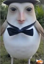 Dobi Doba Deba Bird | JonMud Wiki | Fandom