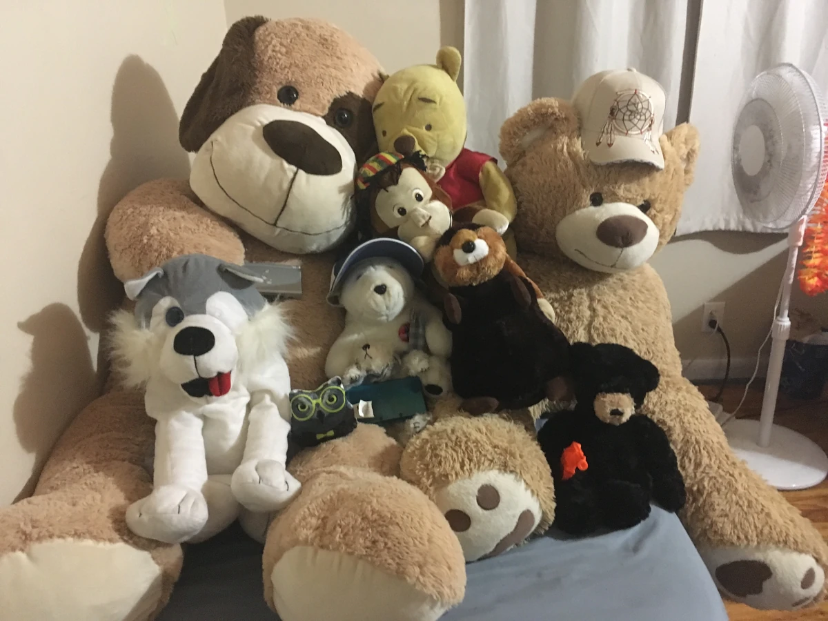 Stuffy Group | MinneEagle’s Home Wiki | Fandom