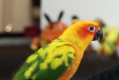 Jontron Jacque Kyss Jon Jafari (@jontronshow) · Instagram Photos And