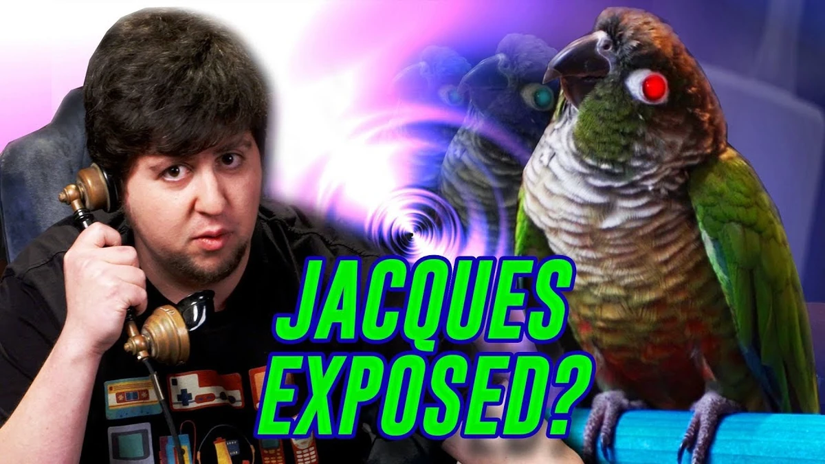 JACQUES EXPOSED? | JonTron Wiki | Fandom