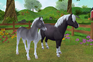 Jorvik Pony | Jorvikipedia | Fandom