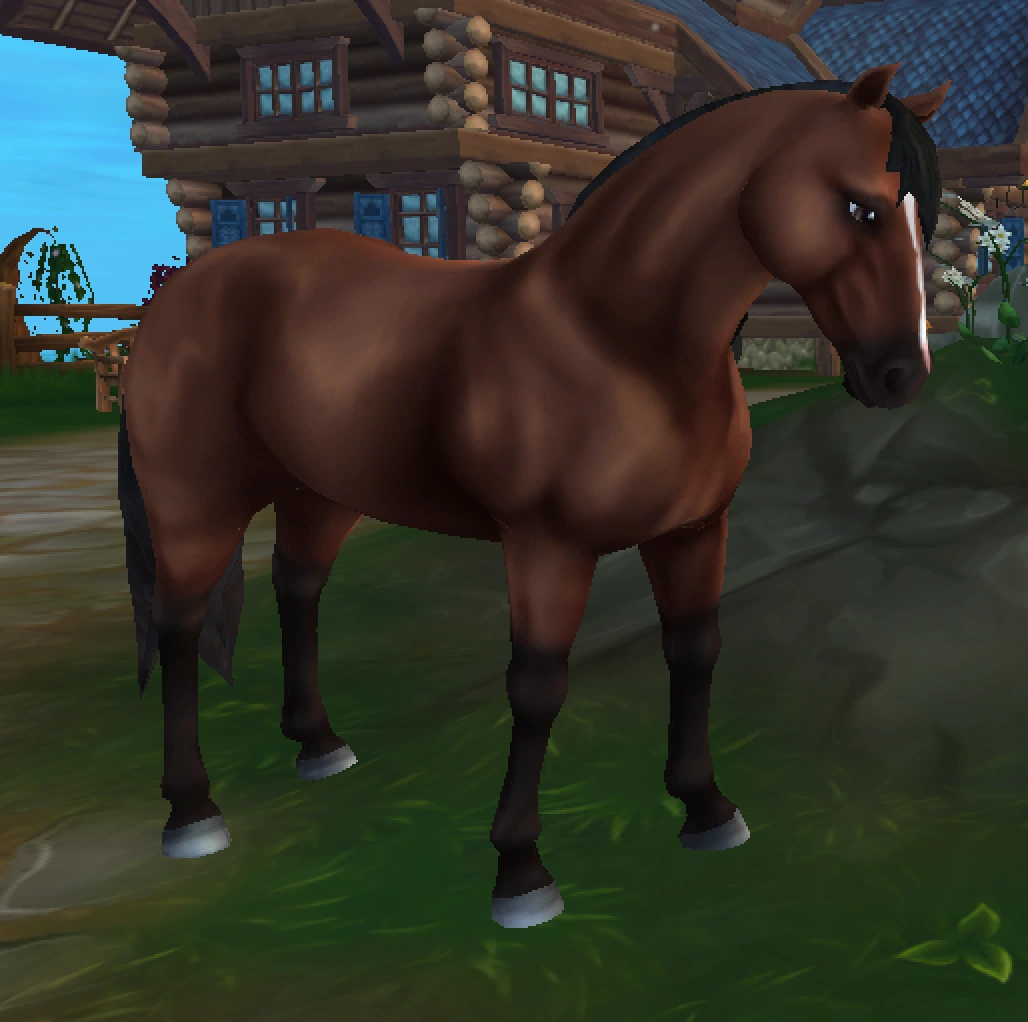 Nutkins | Jorvikipedia | Fandom