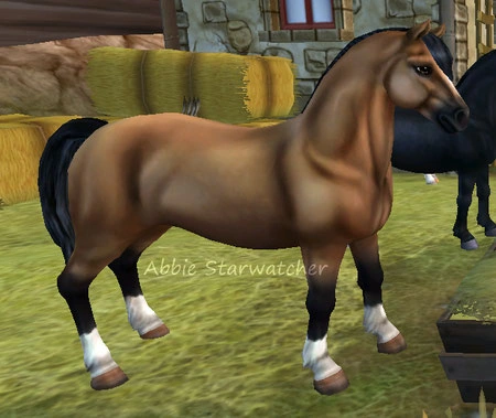 Kuc walijski | Jorvikipedia | Fandom