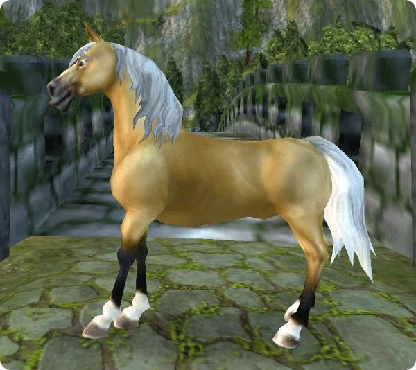 Morab/Gallery | Jorvikipedia | Fandom