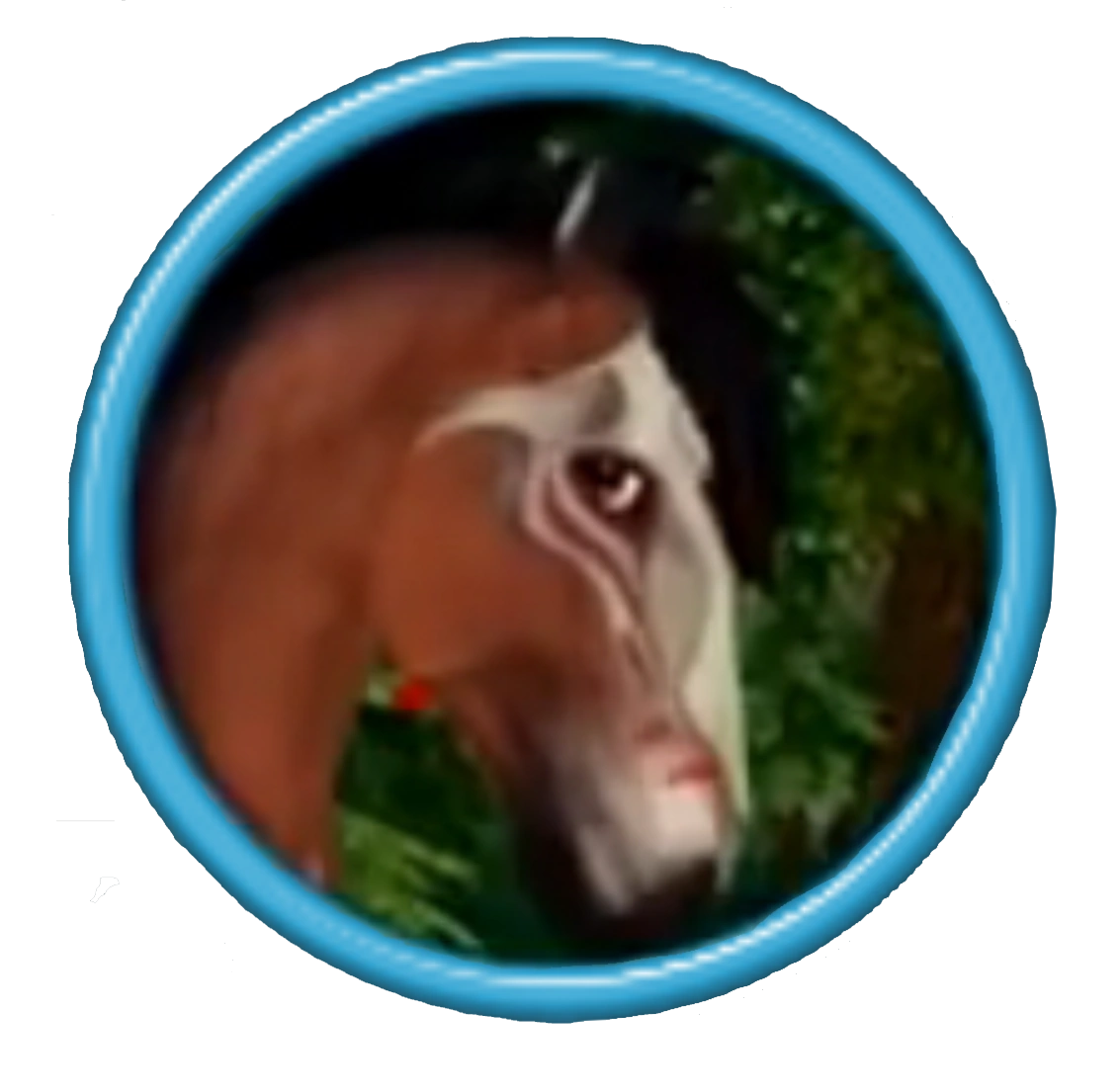 Rocco | Jorvikipedia | Fandom