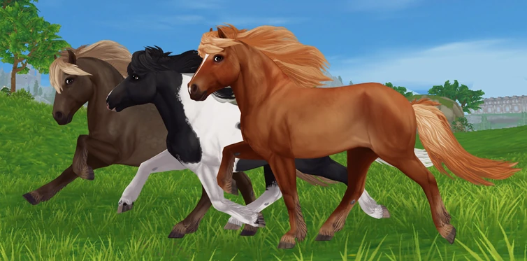 Icelandic Horse | Jorvikipedia | Fandom