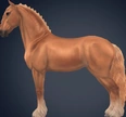 The Friesian | Jorvikipedia | Fandom