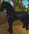 The Friesian | Jorvikipedia | Fandom