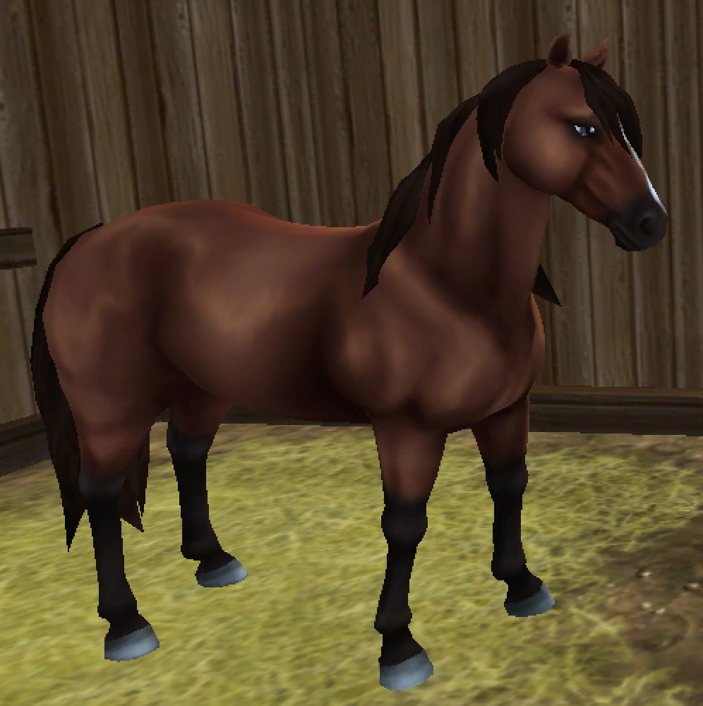 Leopard Mustang Sso