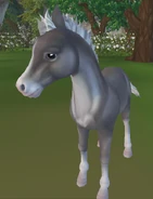 Concorde/Gallery | Jorvikipedia | Fandom