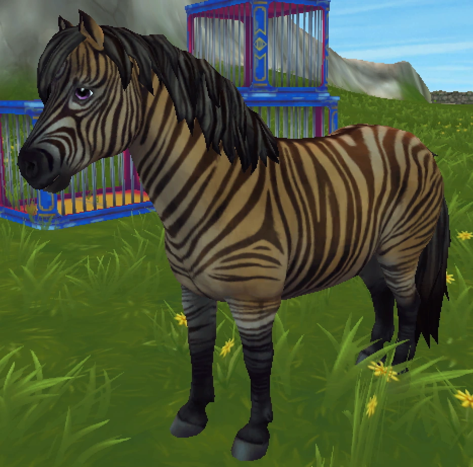 Zony/Gallery | Jorvikipedia | Fandom