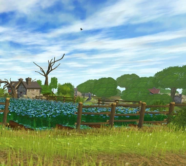 Seahorse Point | Jorvikipedia | Fandom