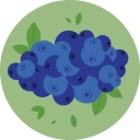 Blueberry Clouds | Jorvikipedia | Fandom