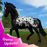 Jorvik Friesian/Gallery | Jorvikipedia | Fandom