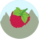 Raspberry Valley | Jorvikipedia | Fandom