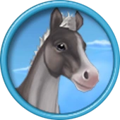 Concorde/Gallery | Jorvikipedia | Fandom